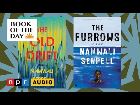 Two novels by Namwali Serpell explore borders and the mixed-race family | Book of the Day