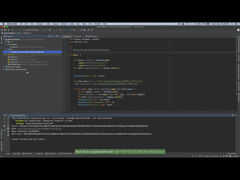 rust examples with IDEA IntelliJ