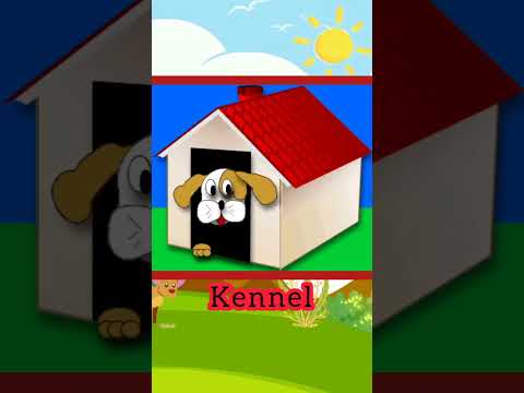 Dog lives in a kennel #educational #ytshorts #trending #viral #animation #shorts