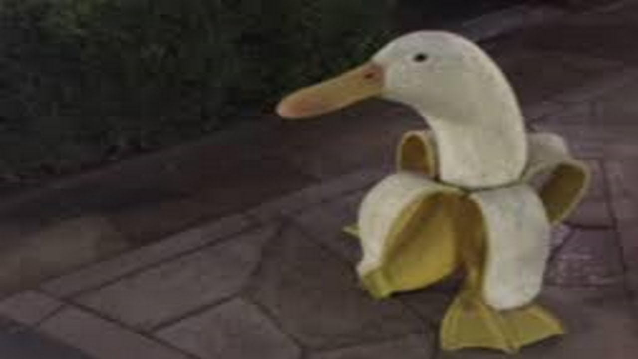Shitpost compilation 5