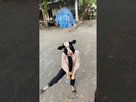 Joget Sapi imut lucu 🐮 #shorts