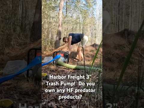 Harbor Freight 3” Trash Pump MOVES SOME WATER!  #harborfreight #trashpump #predator #outdoors #flood