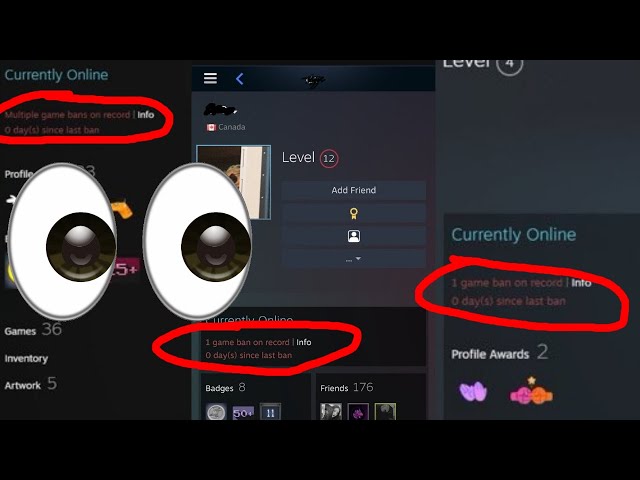 Renowned Destiny 2 site owner announces discontinuation of further ...