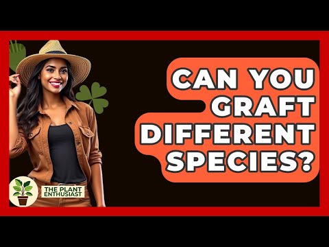 Can You Graft Different Species? - The Plant Enthusiast