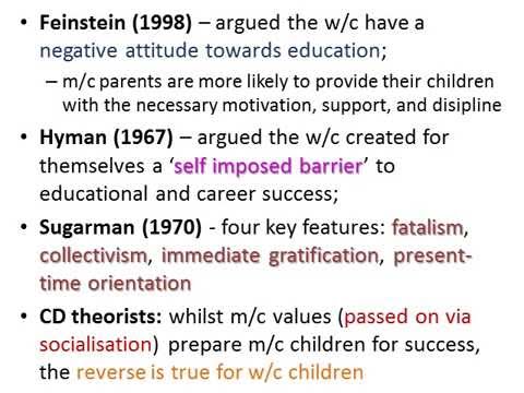 02 Social Class & Education (External Factors)