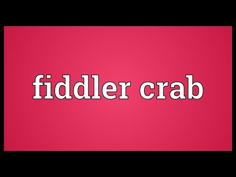 Fiddler crab Meaning
