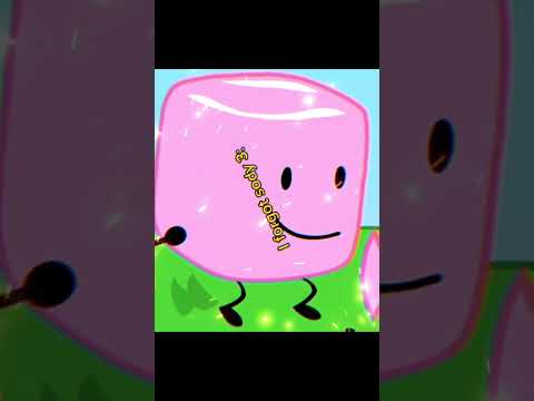 Cat gifs edit