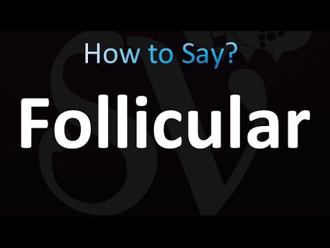 How to Pronounce Follicular (correctly!)