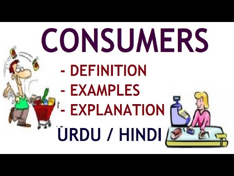 Who is Consumer? I Business Market I Urdu / Hindi