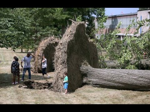 When does severe weather season begin in Cleveland? On the Radar with Kelly Reardon