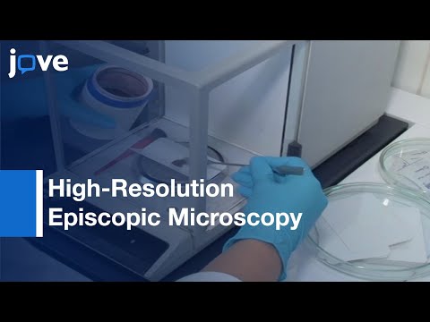 HREM-Simple/Robust Protocols:Processing /Visualizing Organic Materials