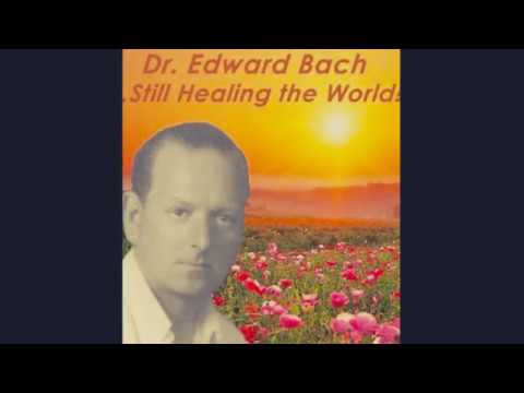 Bach Flower Remedies was created by Dr. Bach