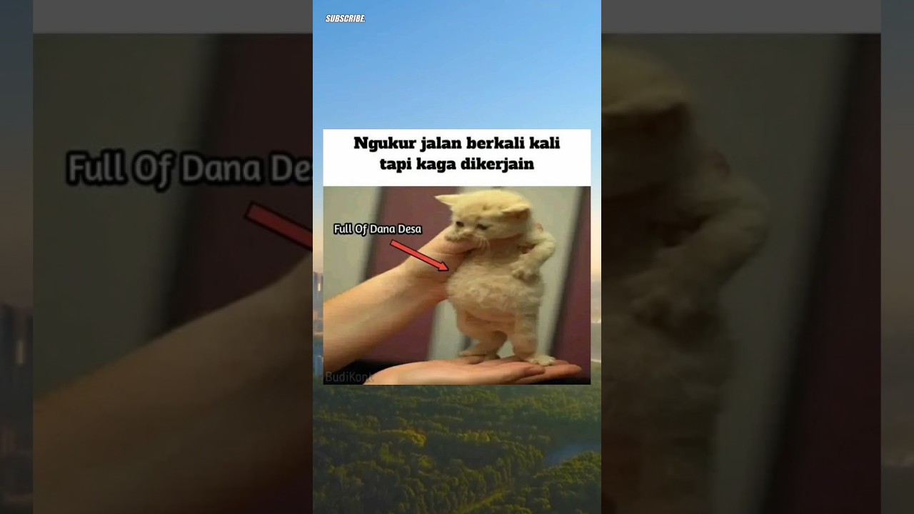 hihi..Meme FB part62 #memefb #meme
