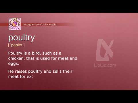 Poultry : C1 level english vocabulary lesson, www.LipLix.com
