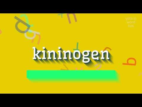 How to say "kininogen"! (High Quality Voices)