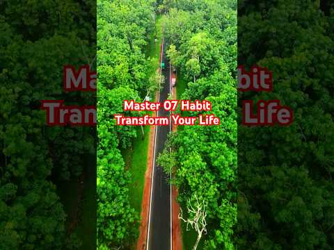 Master These 7 Habits to Transform Your Life Covey Summary