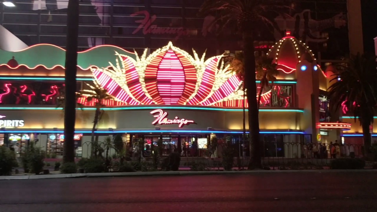 Vegas gif 1