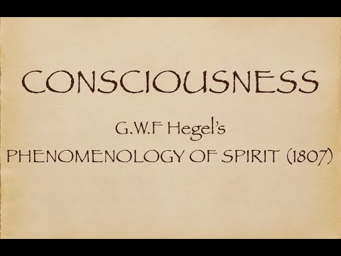 CONSCIOUSNESS - Hegel's Phenomenology of Spirit