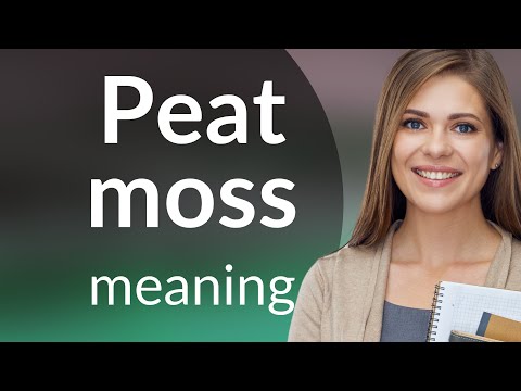 Unearth the Secrets of Peat Moss: A Guide for English Learners