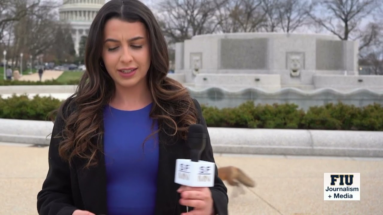 Wild fox captured and euthanized after Capitol Hill attacks