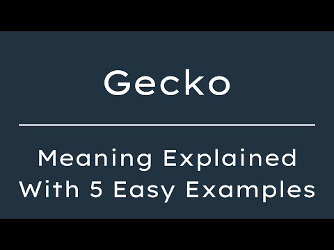 What Does Gecko Mean? Gecko Meaning in English With 5 Example Sentences