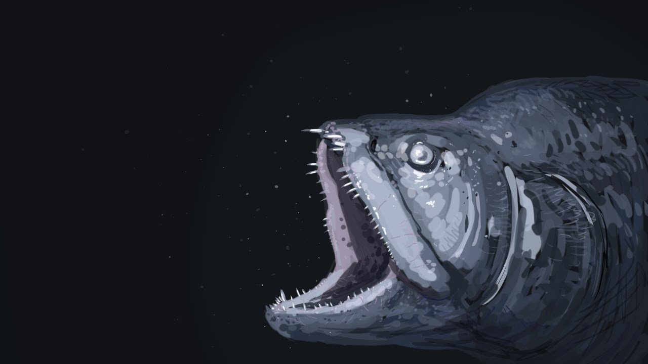 Xiphactinus: Giant Murderous Bulldog Fish