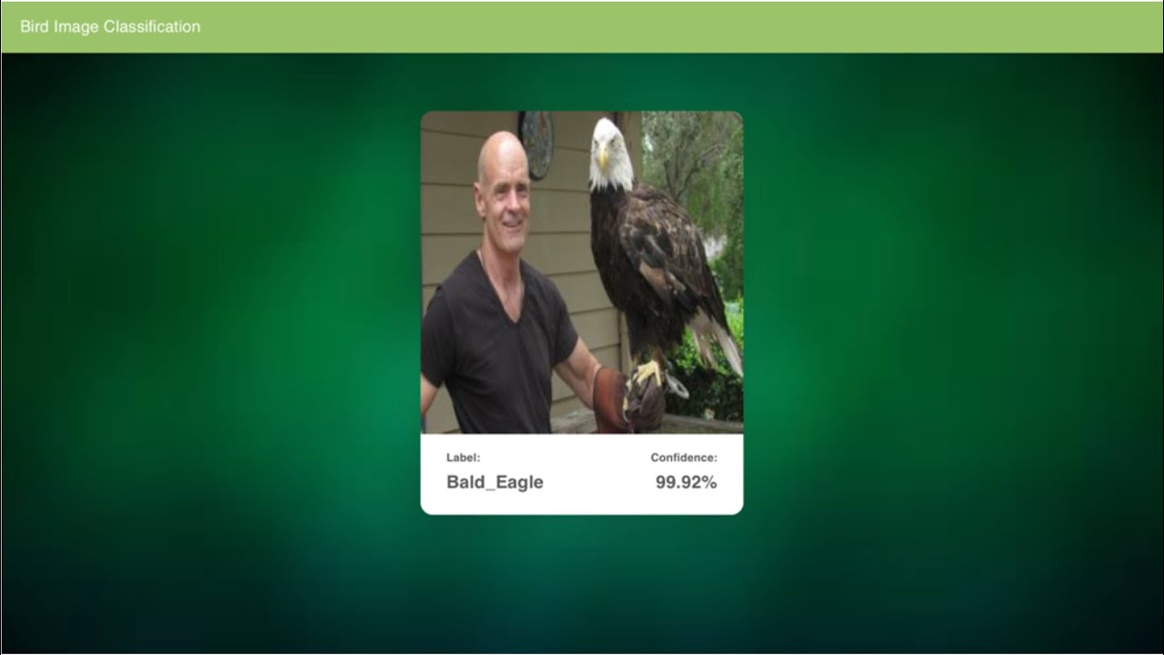 Bird Image Classification Using a Custom CNN | Deep Learning for Bird Species Identification 🦜