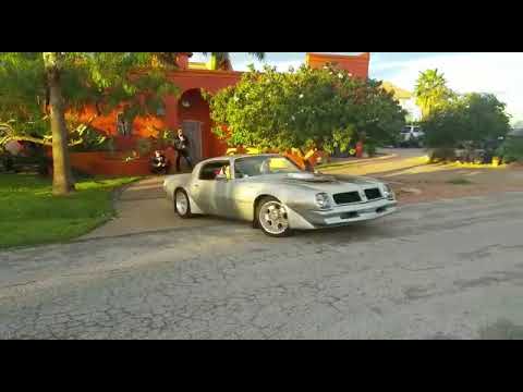 Just Married 1976 Trans Am