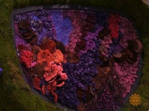 Philadelphia flower show in full bloom