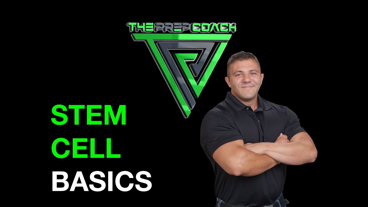 Understanding Stem Cell Basics: A Comprehensive Guide | Galaxy.ai