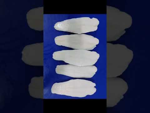 Frozen Pangasius Fillet- 冻巴沙鱼片