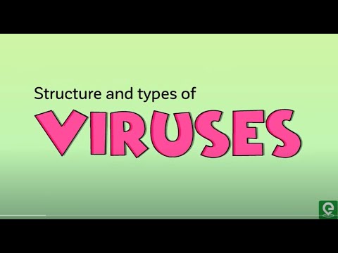 Virus | Structure and Classification | Biology | Extraclass #bacteriophage