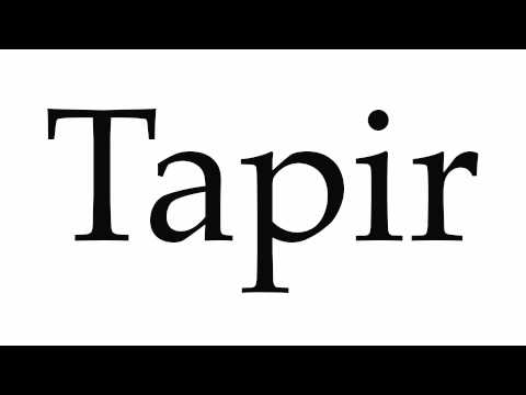 How to Pronounce Tapir