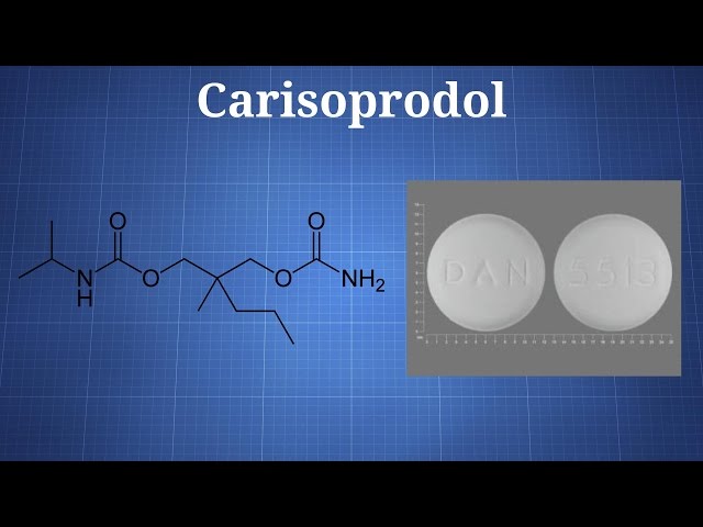 Pain Killer Tablets - Carisoprodol Soma dol t 350 Mg Exporter from Nagpur