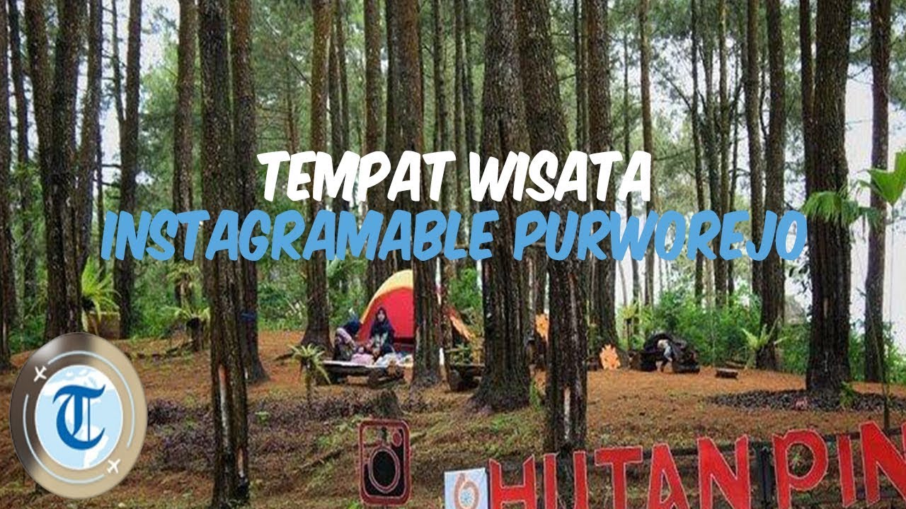 Deretan Tempat Wisata Instagramable di Purworejo, Puas Selfie di Hutan ...