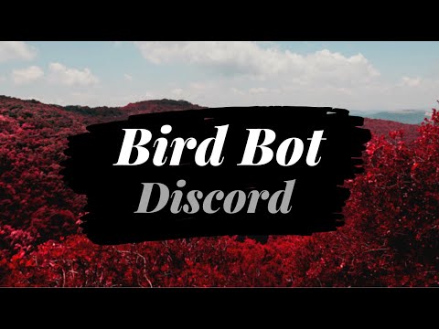 Discord Bird Bot Demo