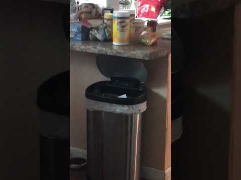 GHOST TRASH CAN! 😱