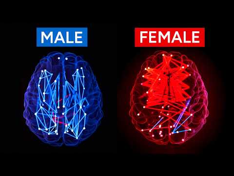 Are Women Smarter than Men?