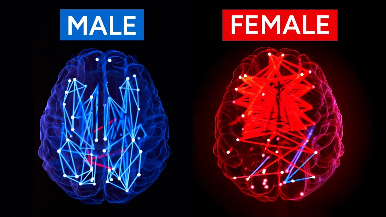 Exploring Gender Differences in Intelligence: Are Women Smarter than ...