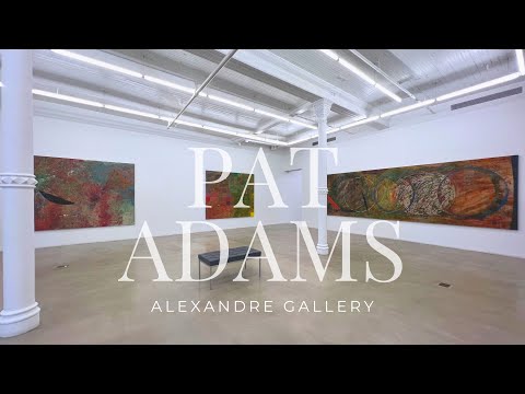 Exhibition Walkthrough: Pat Adams at Alexandre Gallery | ArtAsForm
