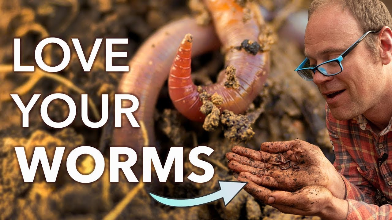 Get Worms to Work For You in your Vegetable Garden!