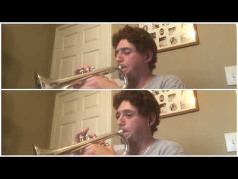 Carol Brass Eb Cornet 2021 - Silver Plate | Reverb