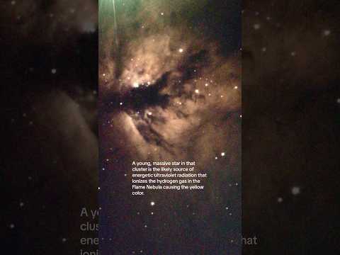 Flame nebula Horsehead nebula 6in dob #telescope #space #astronomy #astrophotography #astronomia