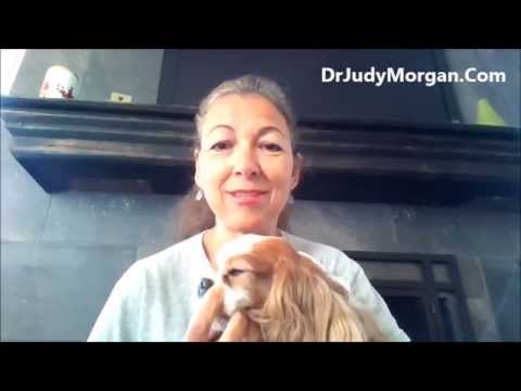 Dog Eye Care- Stink Eye