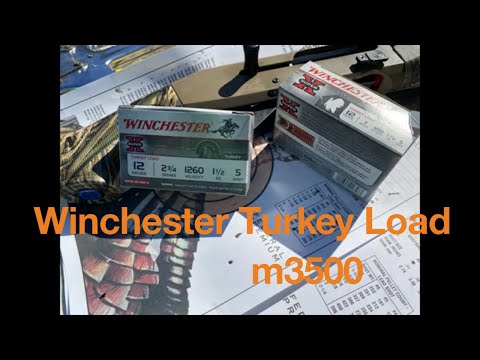 The Ultimate 12g Showdown: Stoeger Shotgun m3500 Using Winchester Turkey 2 3/4" vs 3" - Who Wins?