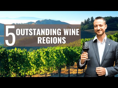 5 Best UNDERRATED Wine Regions of the world yet to discover in 2022 (Patagonia, Cyprus, Spain etc)
