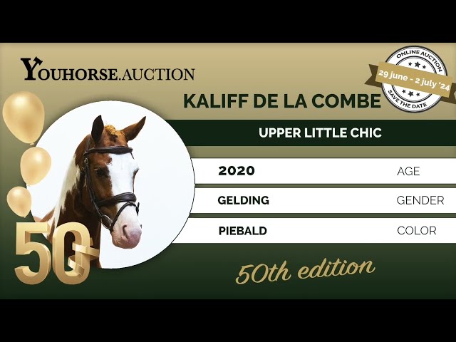 Youhorse.auction | Kaliff de La Combe