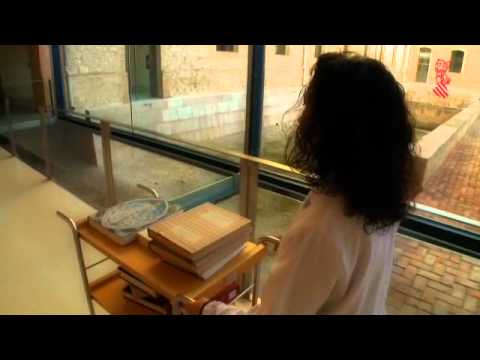 Biblioteca Valenciana Nicolau Primitiu (Valencià)