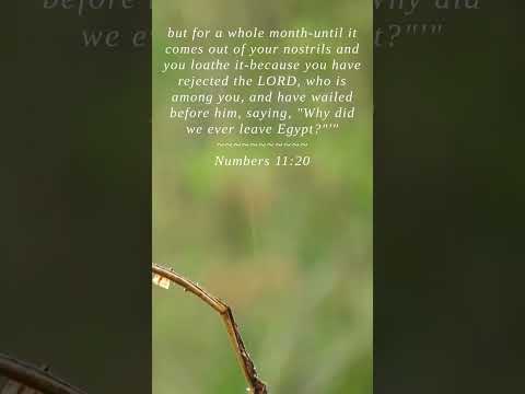 Bible | Numbers 11:20 | but for a whole monthuntil it ...