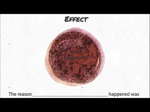 Cause and Effect Grade 4 youtube